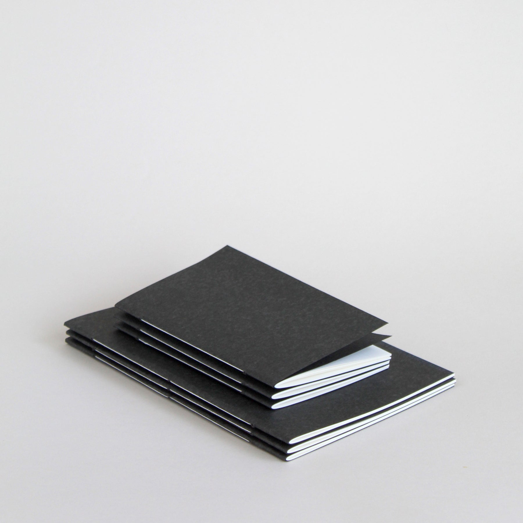 Notebooks | MARK+FOLD