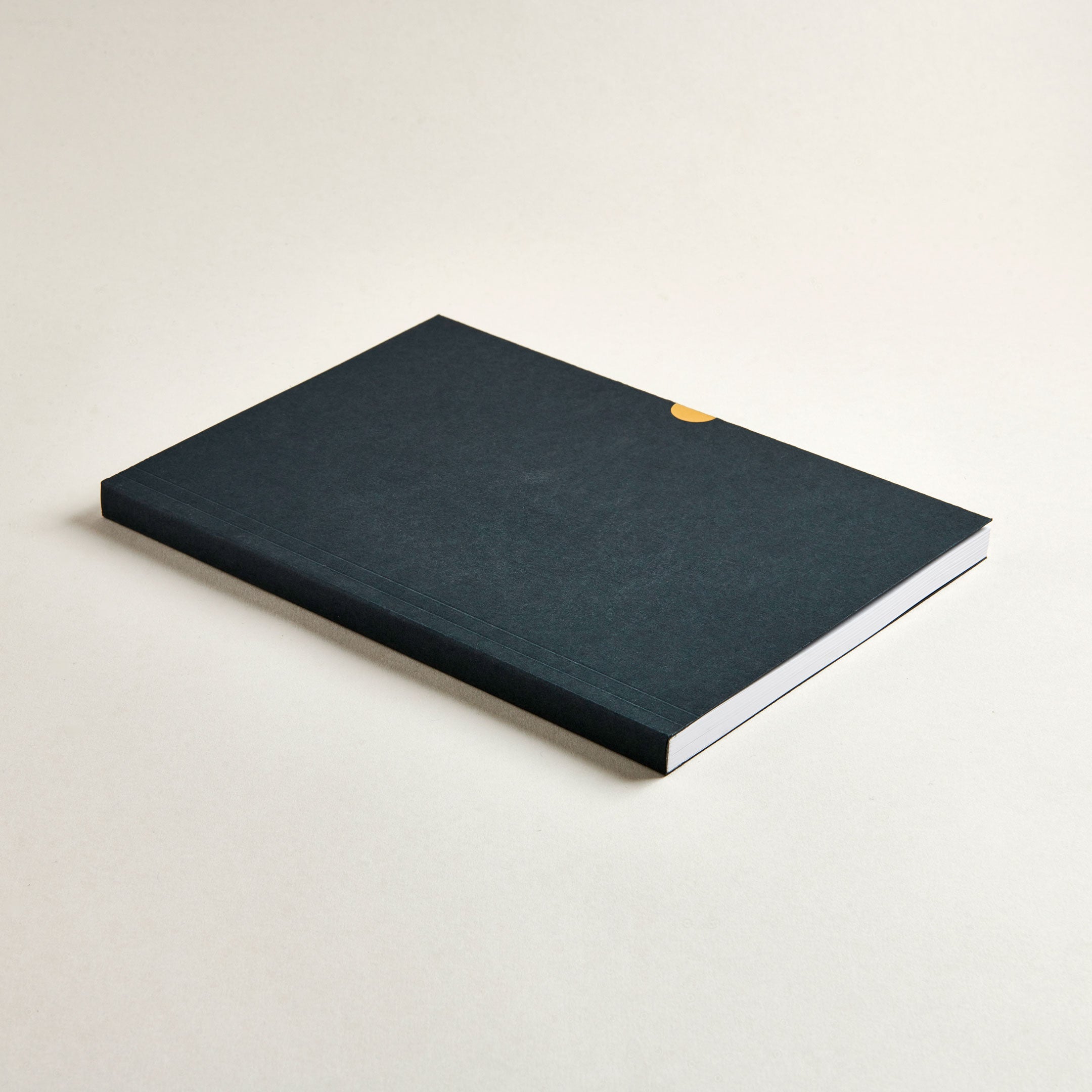 Notebooks | MARK+FOLD