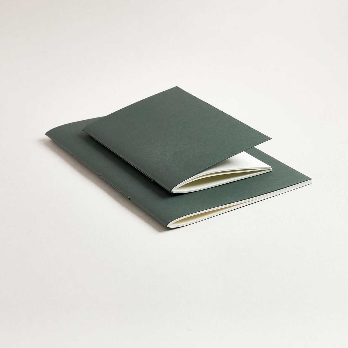 Notebooks | MARK+FOLD